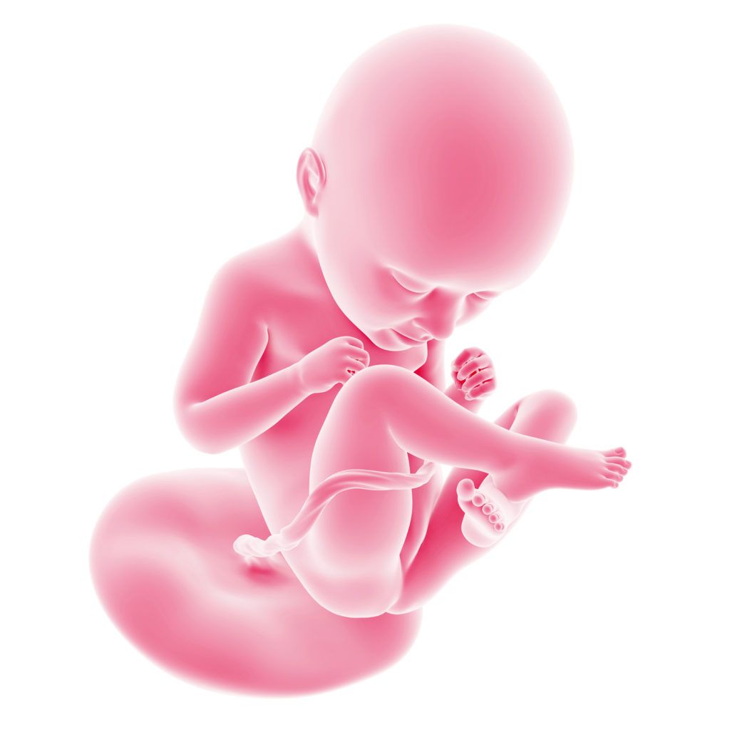 35. SSW - Blasenschwäche und andere Schwangerschaftsbeschwerden